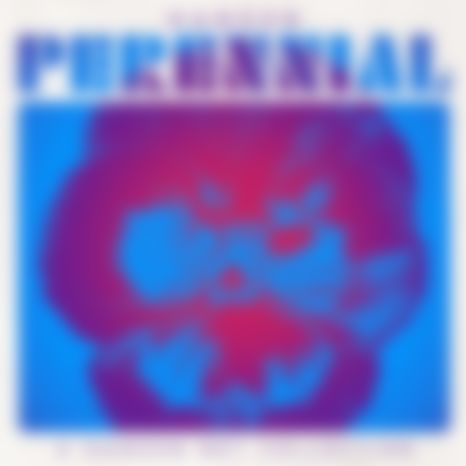 HANSON: Perennial - A Hanson Net Collection