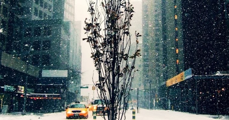 Snow Will Fall on Christmas Night