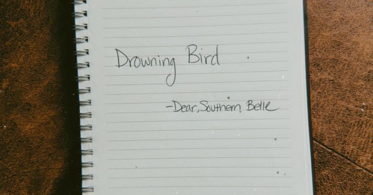 Dear Southern Belle - Drowning Bird - Acoustic