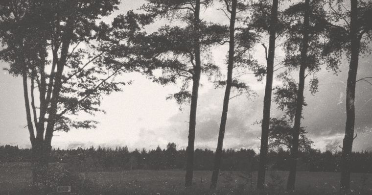 That Old Logging Town (Live From The Northwoods)