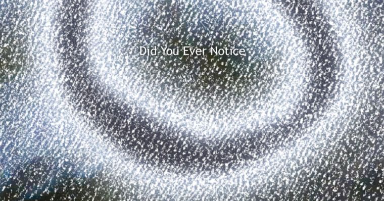 Sara Lew - Did You Ever Notice (single)