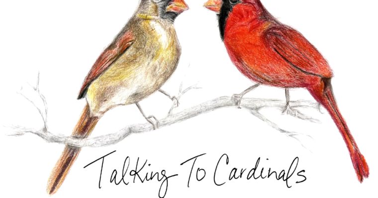 Talking to Cardinals