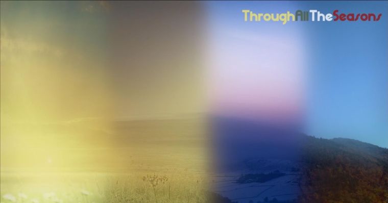 Through All the Seasons (feat. Cashma & Mike Kalombo) - Single b