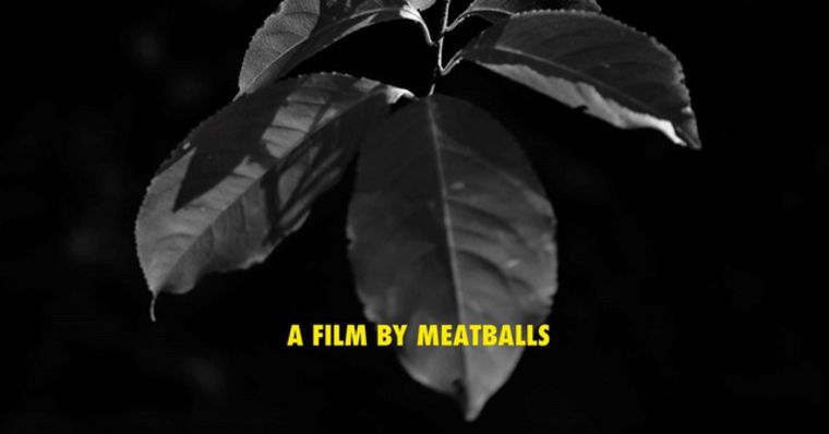 Meatballs - film