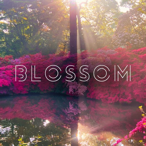 Blossom