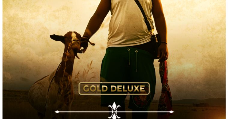 Sjava 'Umsebenzi' (Gold Deluxe)