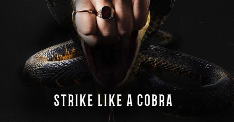 'Strike Like A Cobra'