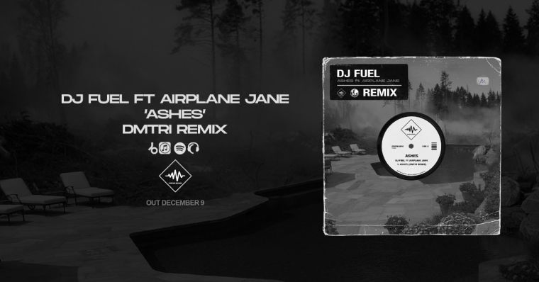Dj Fuel And Airplane Jane Ashes Dmtri Remix