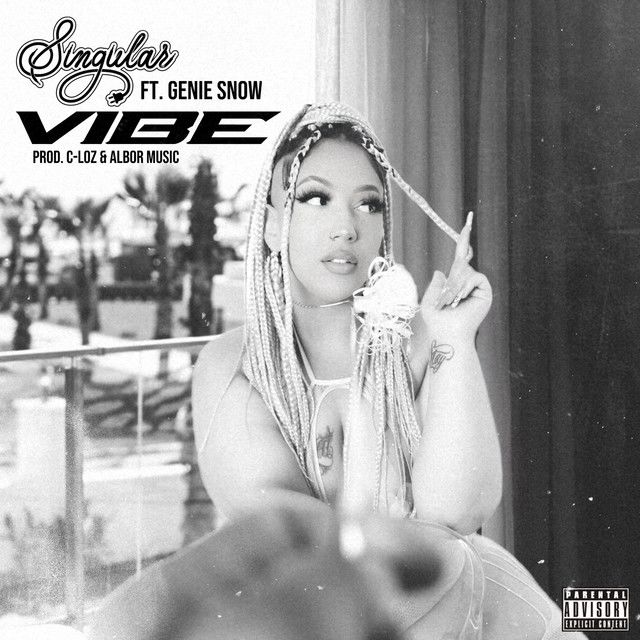 Vibe (feat. Genie Snow) by Singular