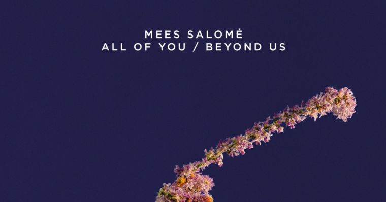 Mees Salomé - All Of You / Beyond Us