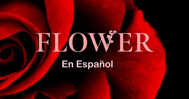 Hitomi Flor - Flower (Cover en Español)