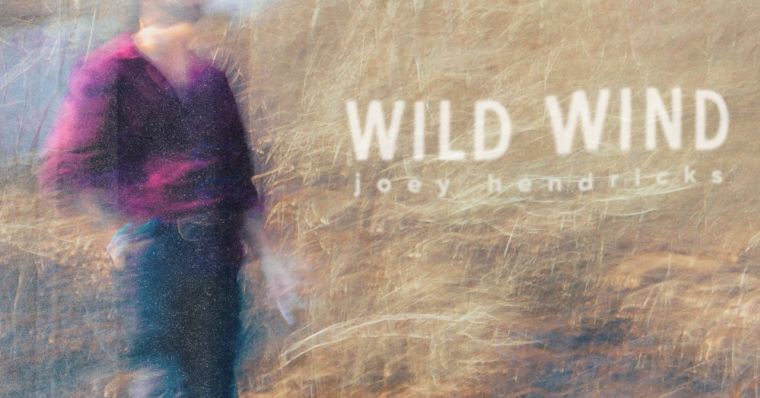 Wild Wind (stripped) - Joey Hendricks