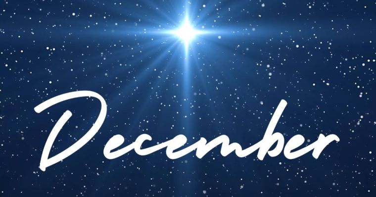 Brandon Davis - December