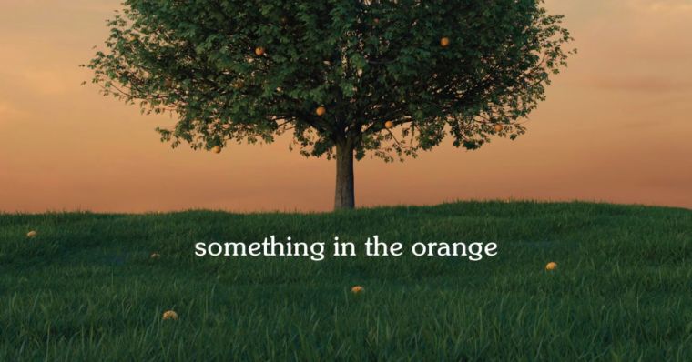 something in the orange - rat's version