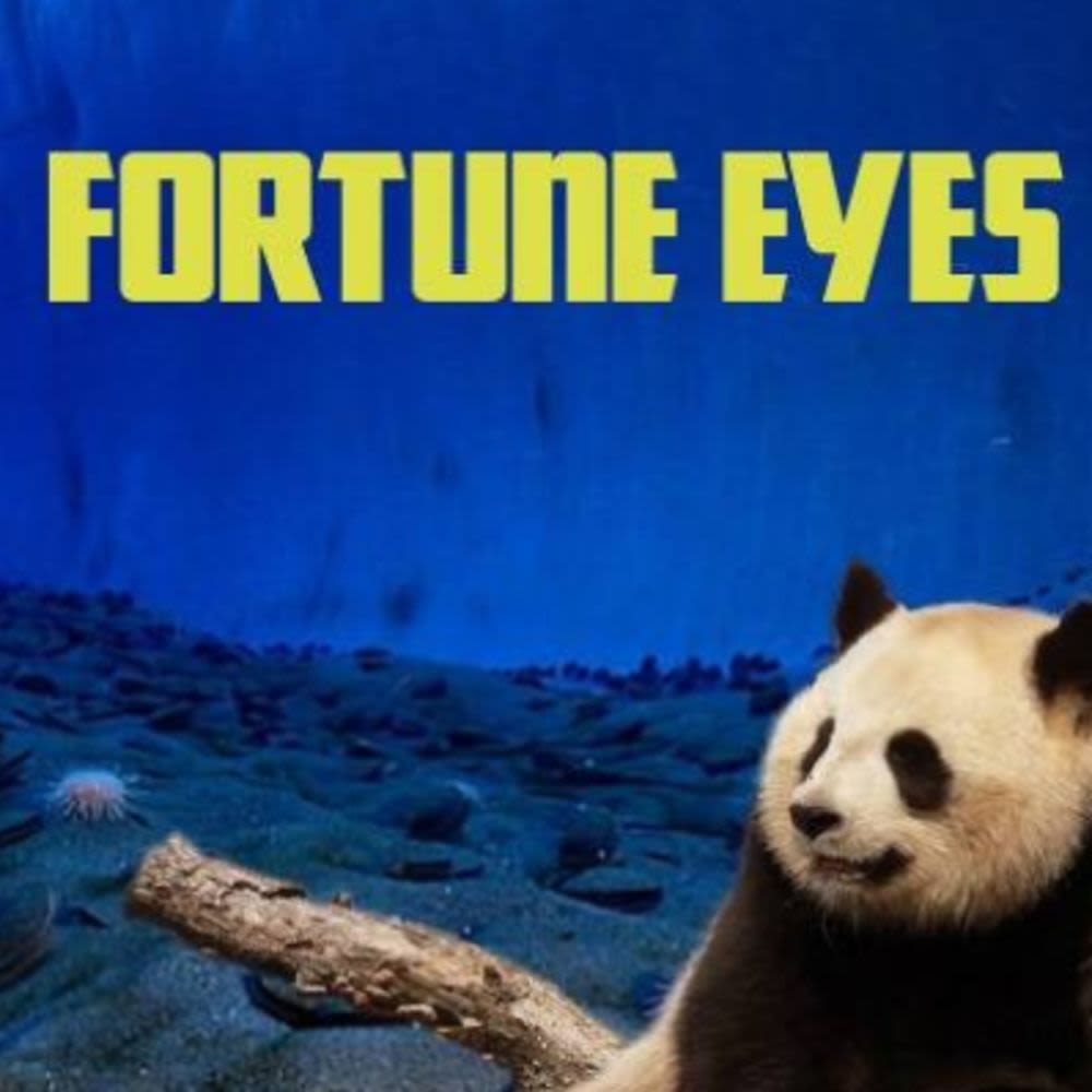 Ley Soul - "Fortune Eyes"
