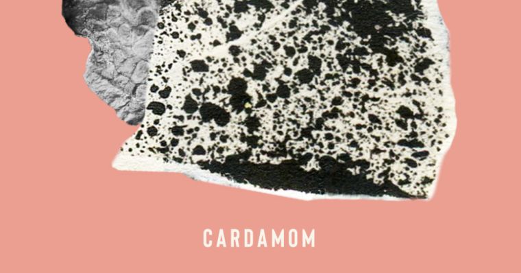 Cardamom - Family Tree / Family Tree (Ambient)