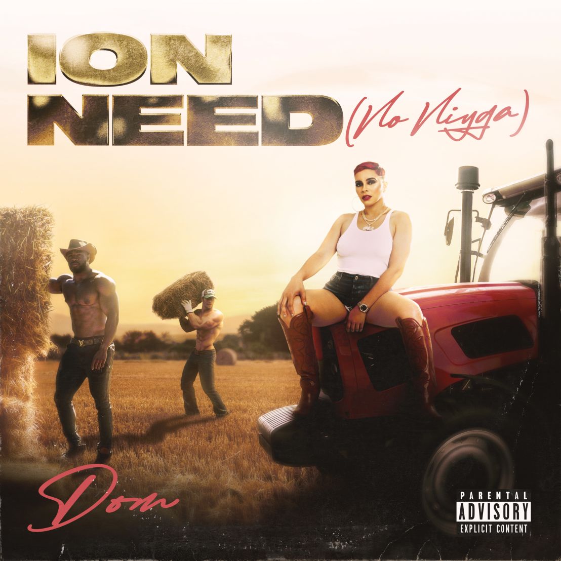 DOM - Ion Need (No Nigga)