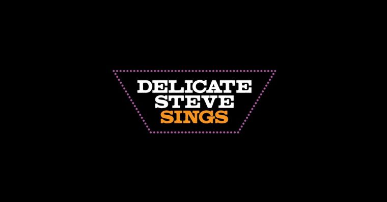 Delicate Steve - Delicate Steve Sings