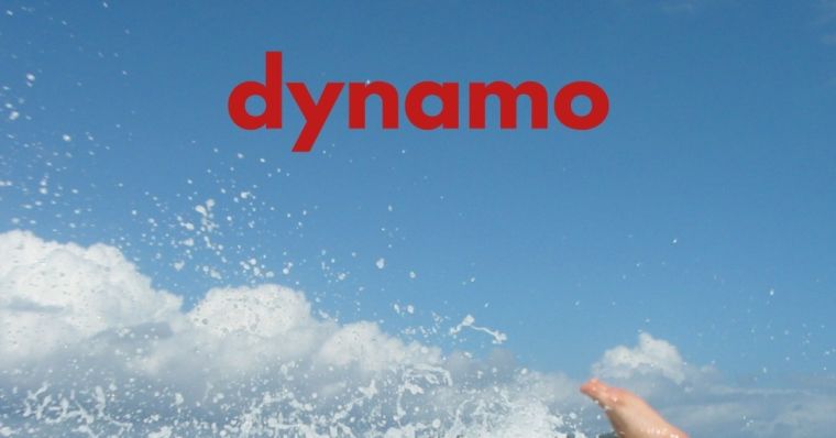 King of Foxes – Dynamo