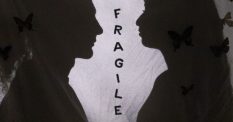 Fragile by Jake & Shelby