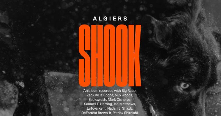 Algiers - Shook (Deluxe Edition)