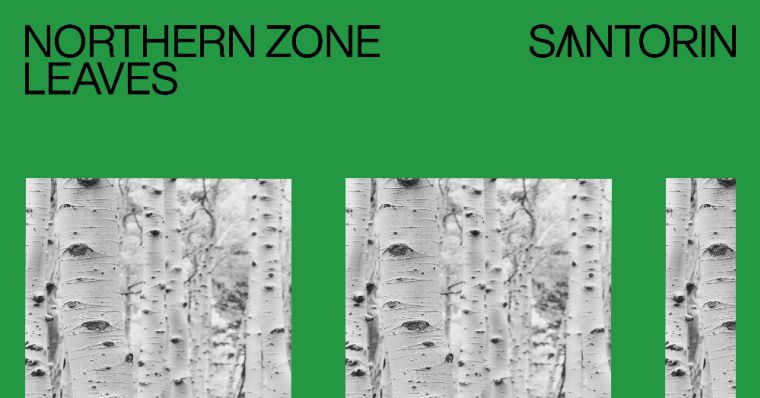 Northern Zone - Leaves