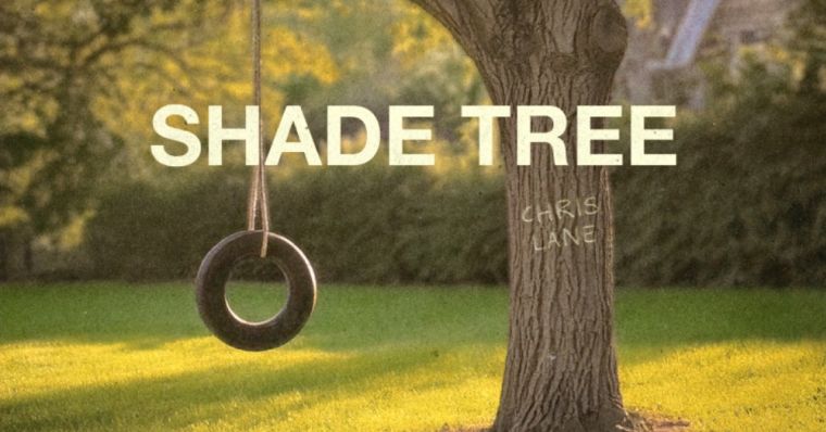 SHADE TREE - ALBUM